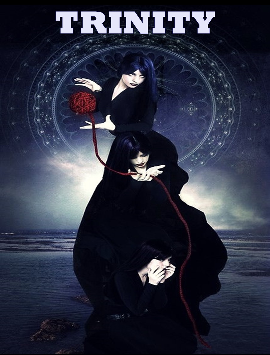 TRINITY: TRINITY PROJECT