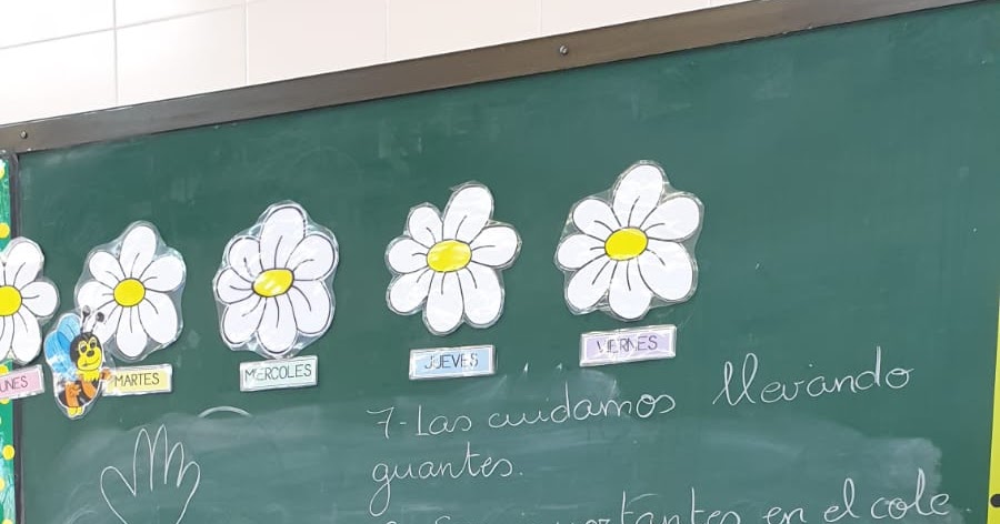 Las profesiones: ¿Qué sabemos sobre las manos? ¿Qué queremos saber? Las profesiones: ¿Qué sabemos sobre las manos? ¿Qué queremos saber?