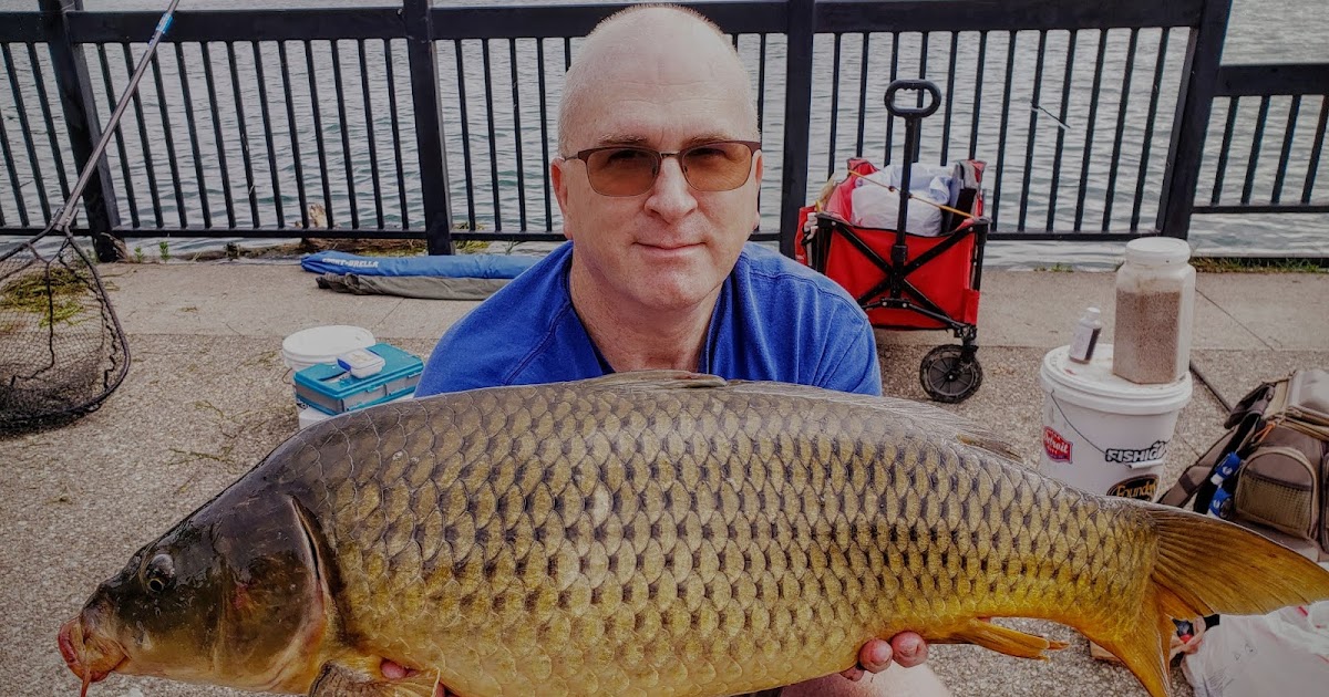 Michigan Carp Fishing Blog: How to Catch Carp Fast Fishing Video