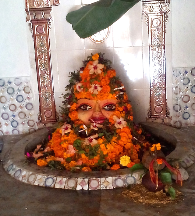 SUKA-PARIKSHITA GADI KUDANAGARI