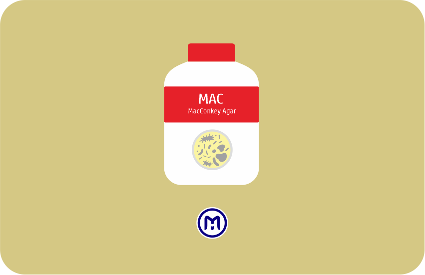MacConkey Agar (MAC) - Definisi, Komposisi, Cara Pembuatan dan ...