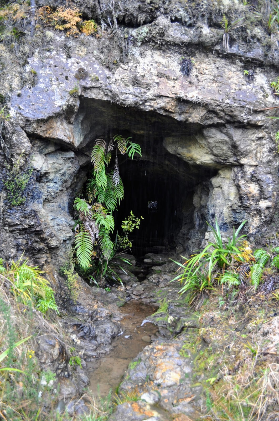 Dutchcorner: Mokihinui on the West coast of New Zealand