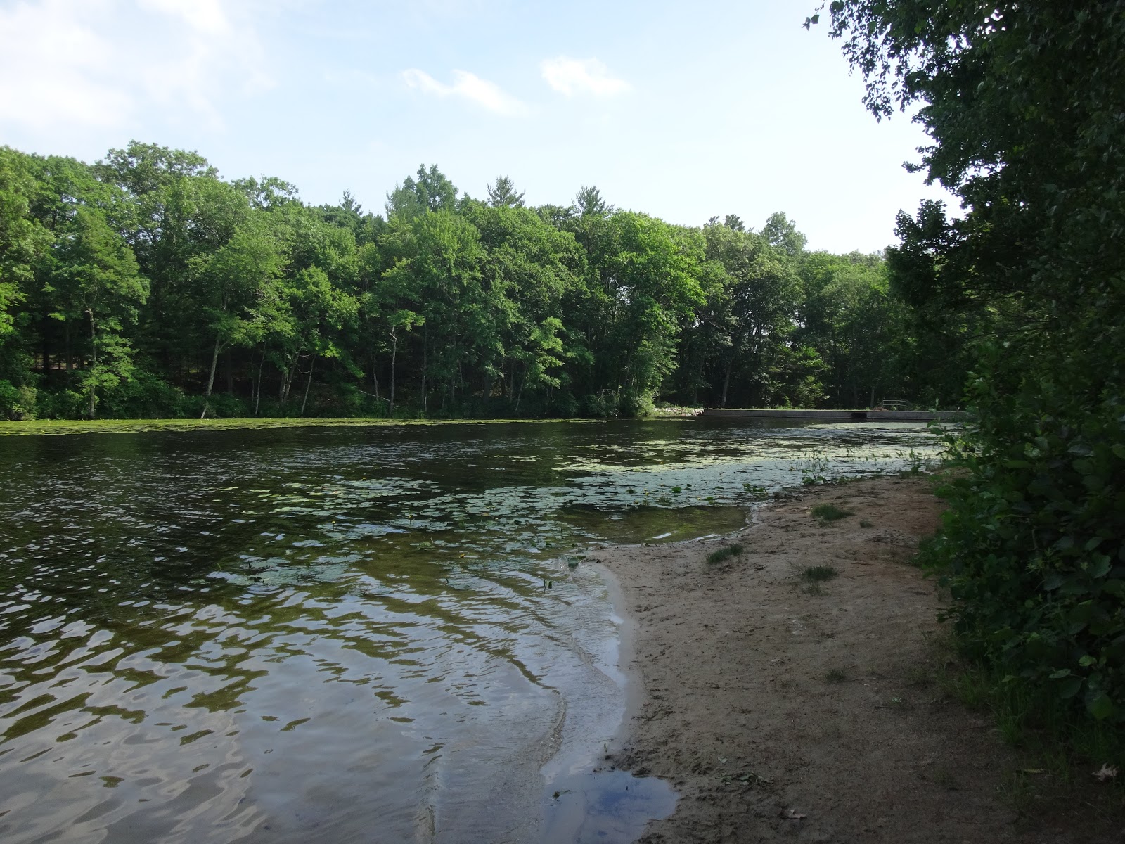 double d mountain runner: Stiles Pond