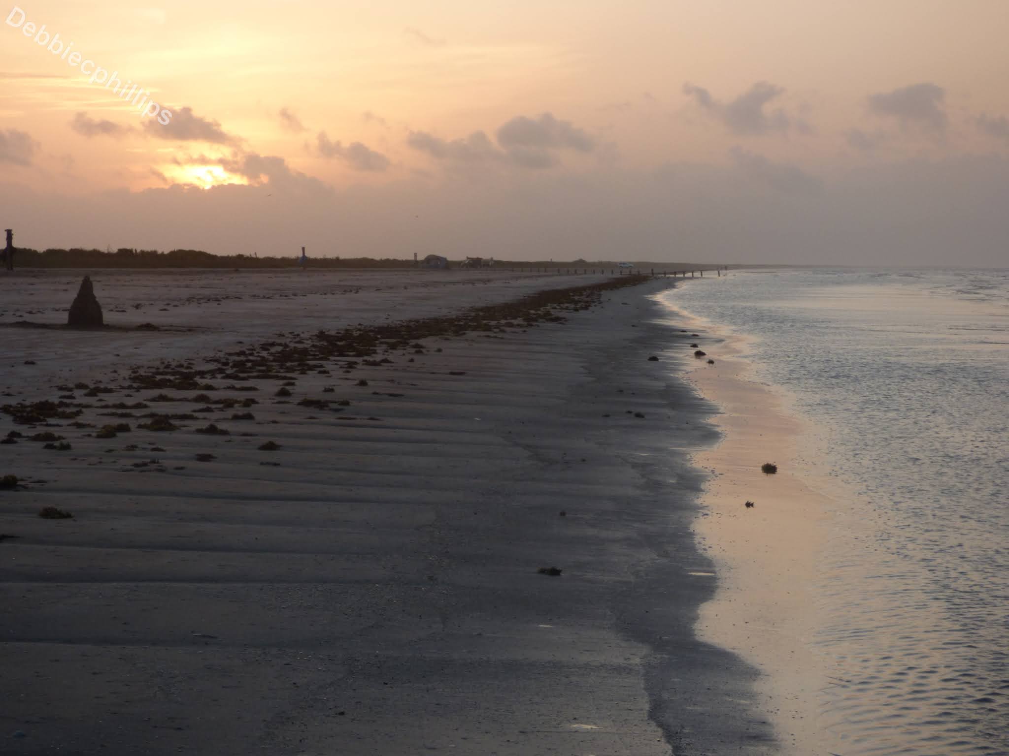 DebbieCPhillips-Photography: Sea Rim State Park, Texas