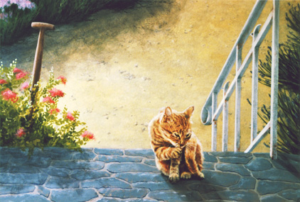 Cathy Toby: Trompe l'oeil