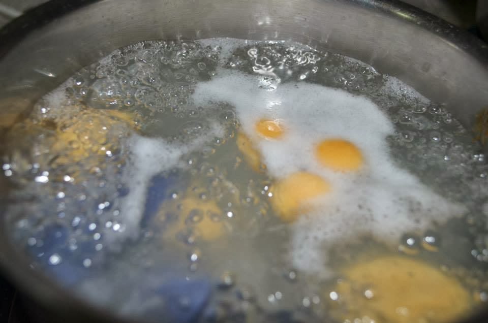 22+ Baru Bunga Floating, Gambar Bunga