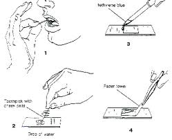 Education 645: High School Biology