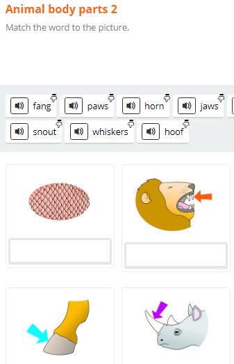 ESPECIALISTA DE INGLÉS: ANIMAL BODY PARTS GAME