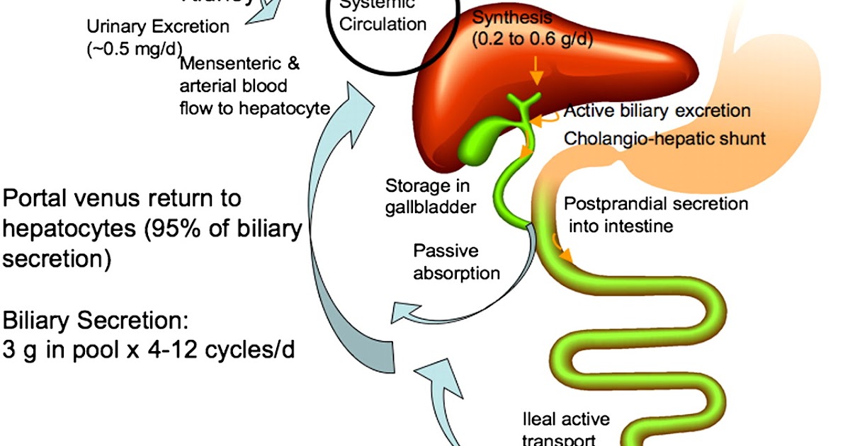 Ayurvedic treatment: Acid bile