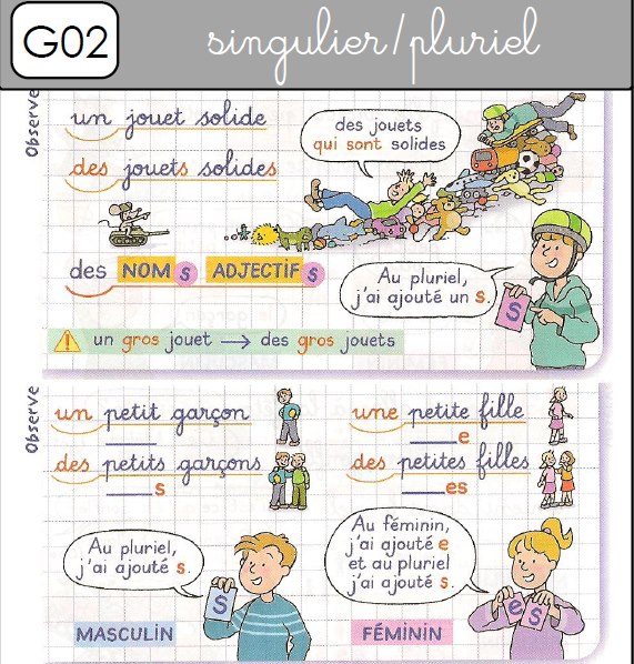 Français: L 26 - Singulier - Pluriel