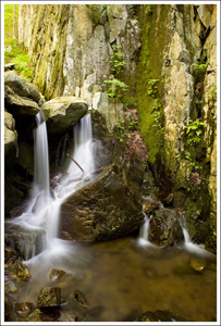 Guide to Shenandoah National Park and Skyline Drive: Gimlet Ridge ...