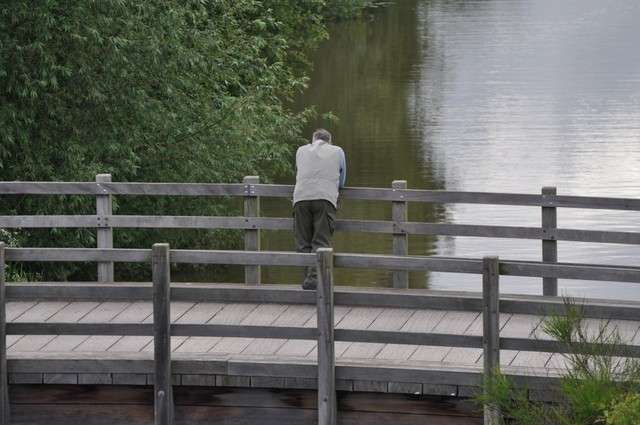 Old Man at the Bridge Workbook Answers