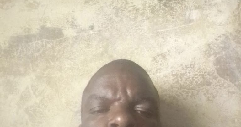 Zimbabwe Freedom Fighters