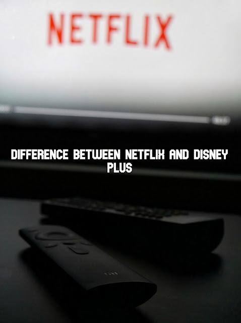 Top 10 Difference Between Netflix And Disney Plus - The Tech Index