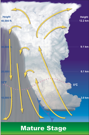 Wx4cast: The Thunderstorm Life Cycle