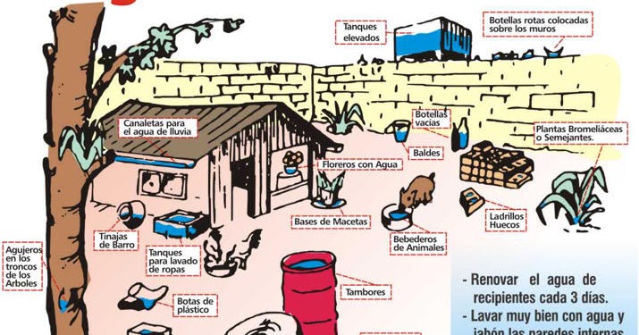 Enfermedades infecciosas: CAUSAS Y FACTORES DE RIESGO DEL DENGUE