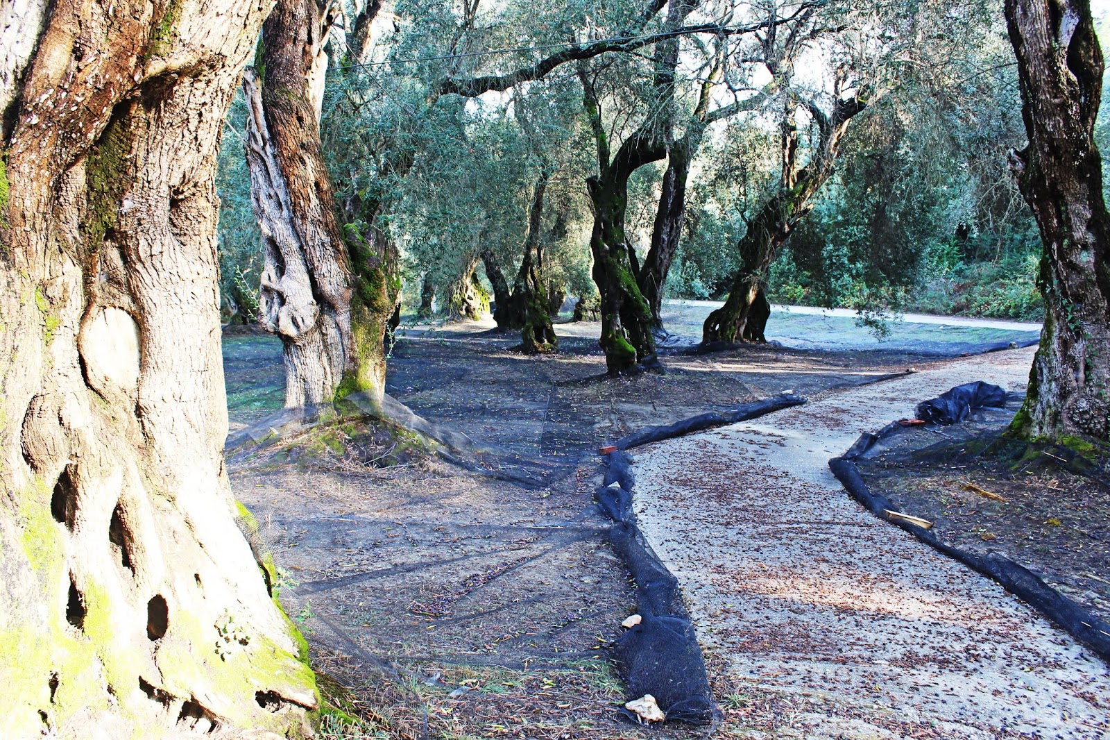 Greece Vacation 2018: Potami River