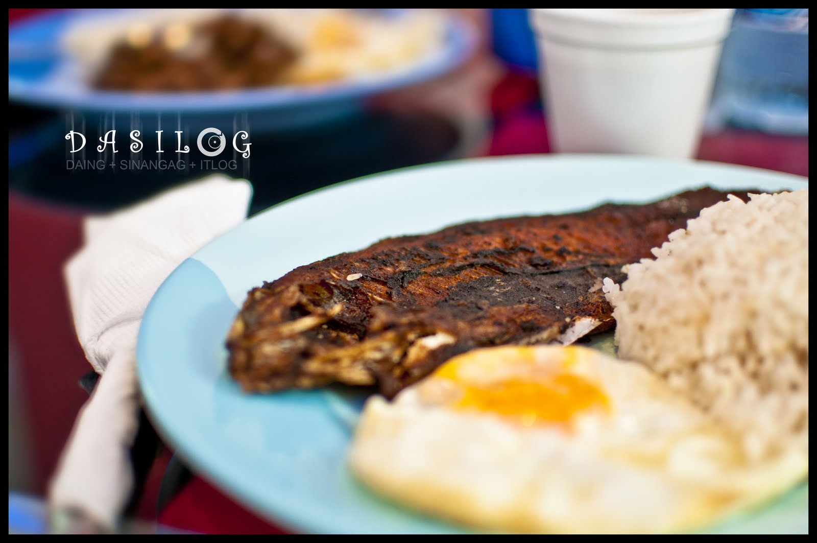 shoot first-eat later: DASILOG