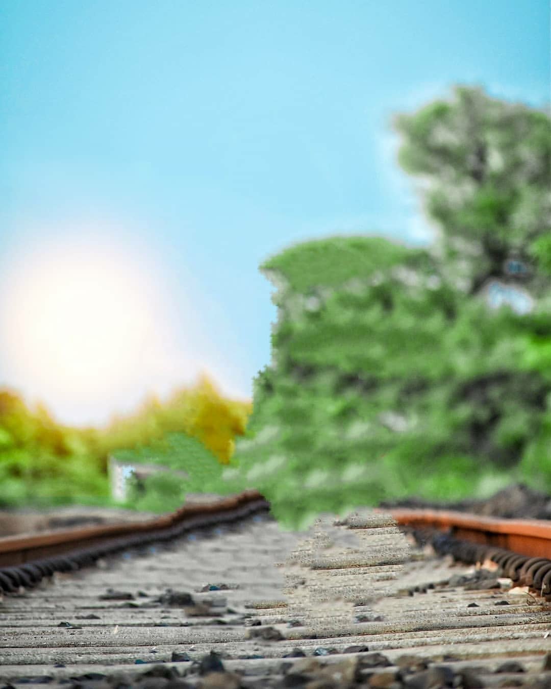 Photography Background Images