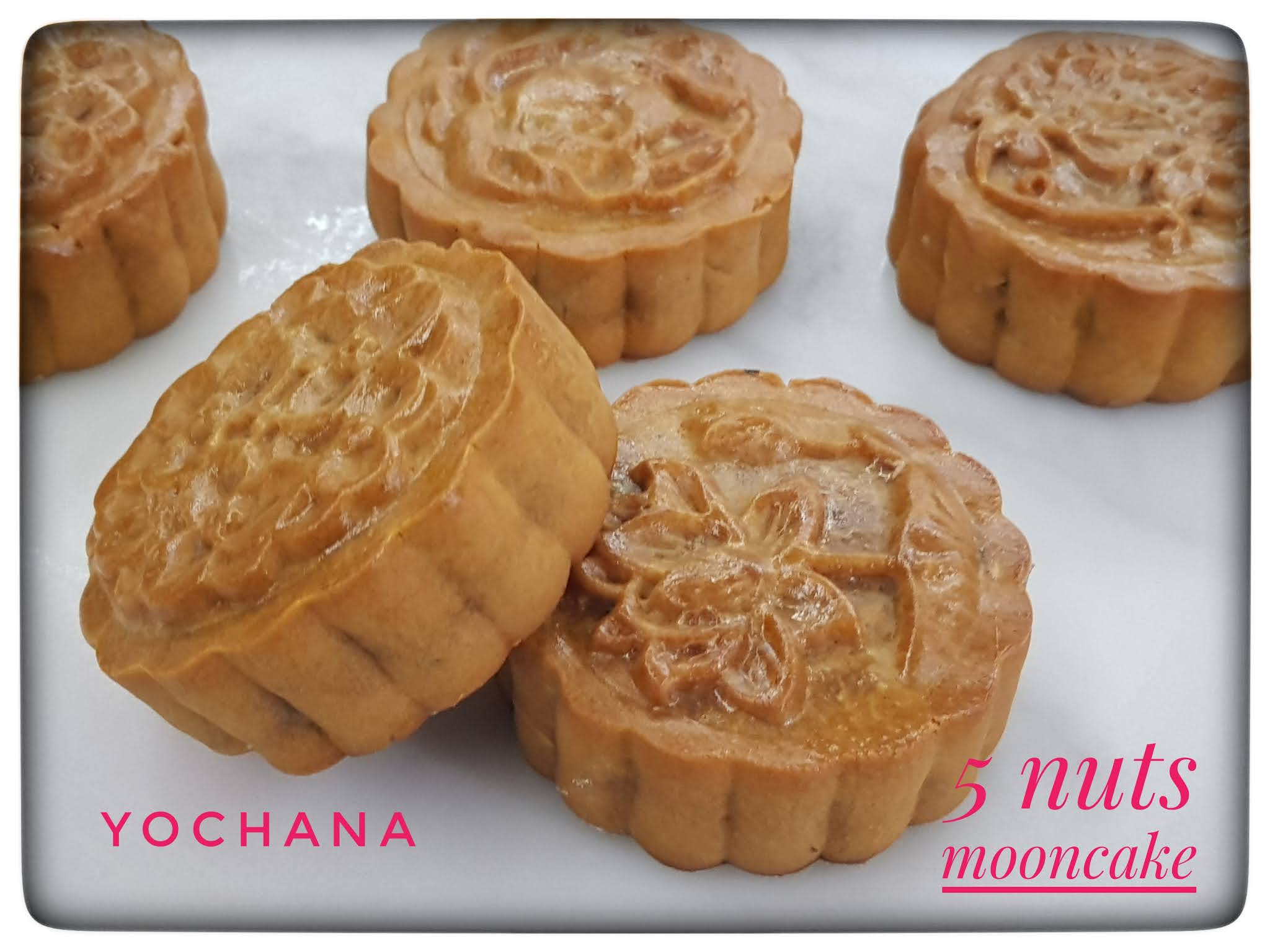 Yochana's Cake Delight! : 5 Nuts Mooncake