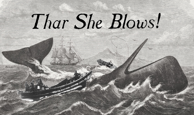 Broken Ground Design