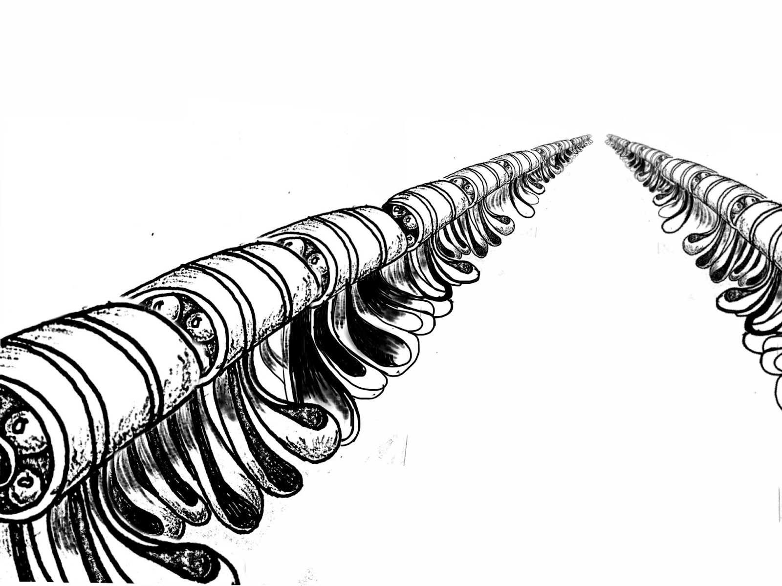 The Helpful Art Teacher: Rhythmic Line Designs And Patterns