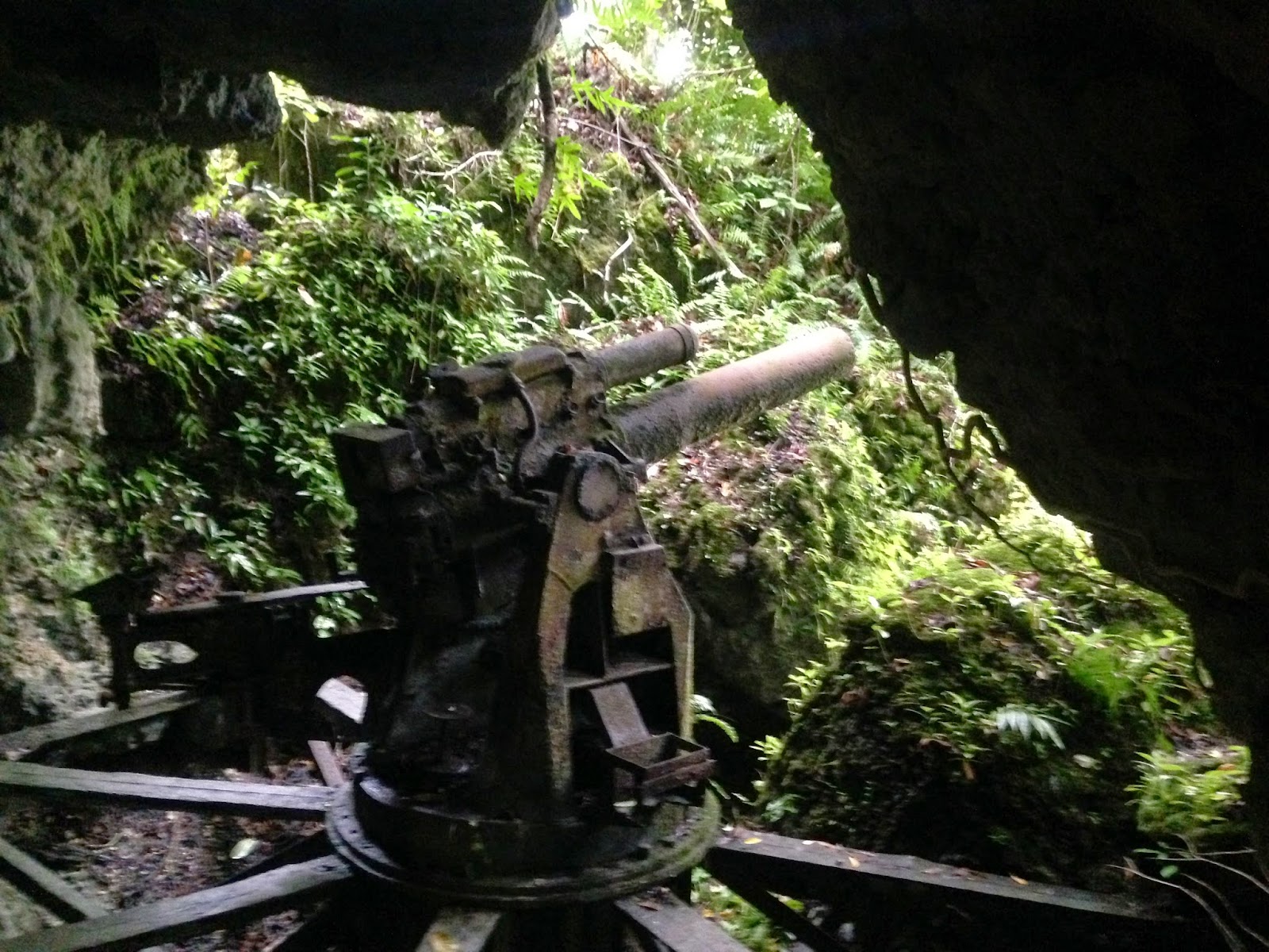 The History of Mount Needle Pie: Ghosts of Peleliu: Exploring a Bloody ...