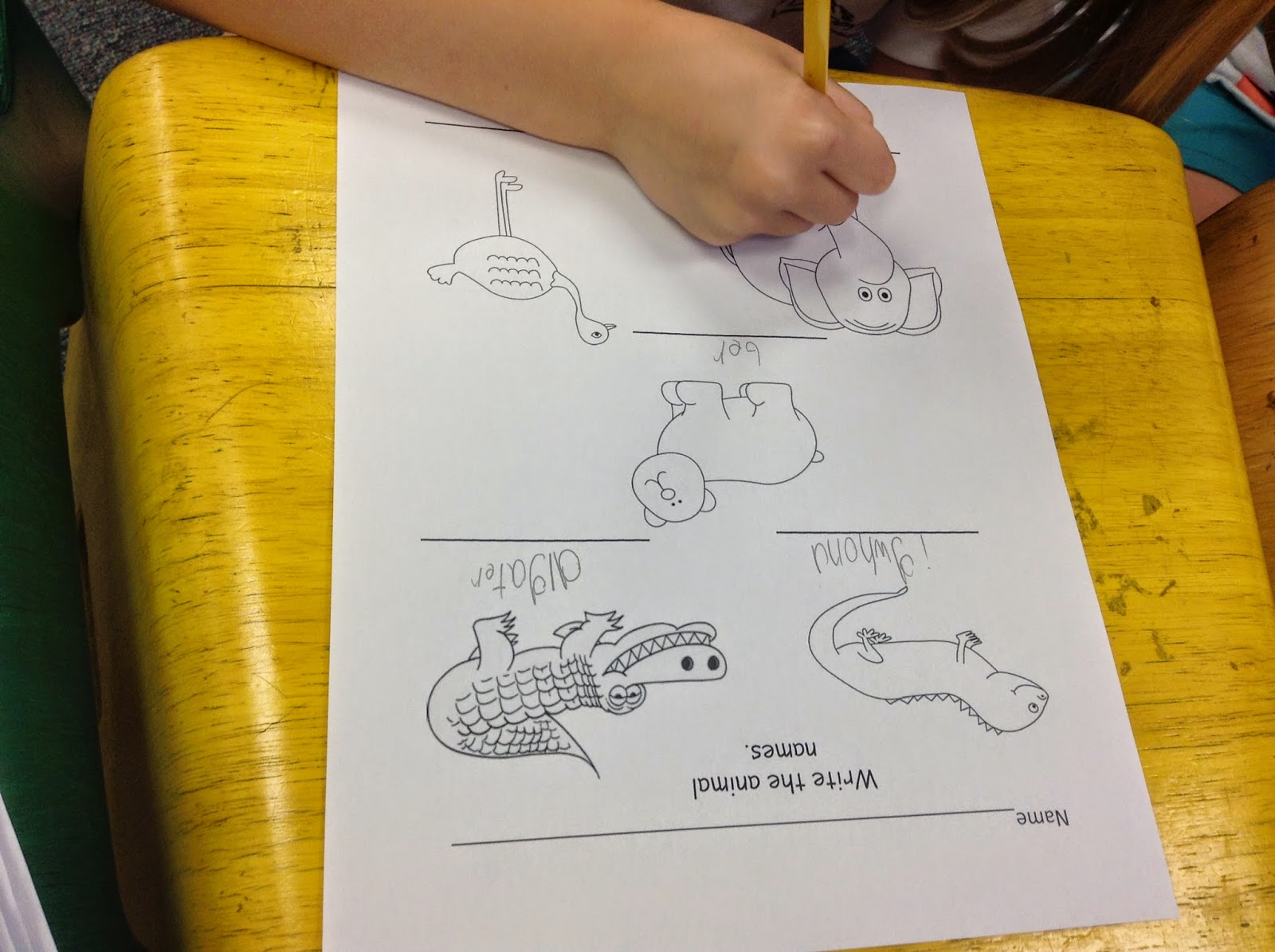 Dr. Clements' Kindergarten : Zoo Animal Literacy and Math Unit