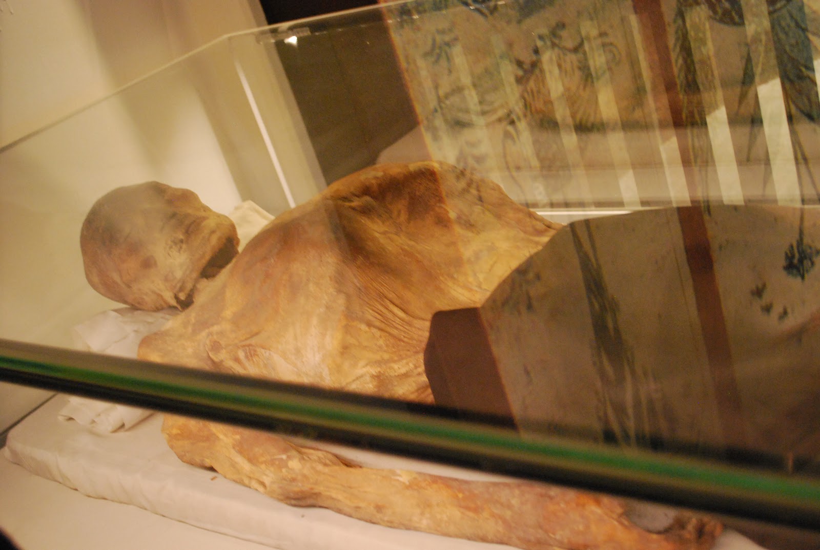 socalgalopenwallet: The mummies of the Tarim Basin