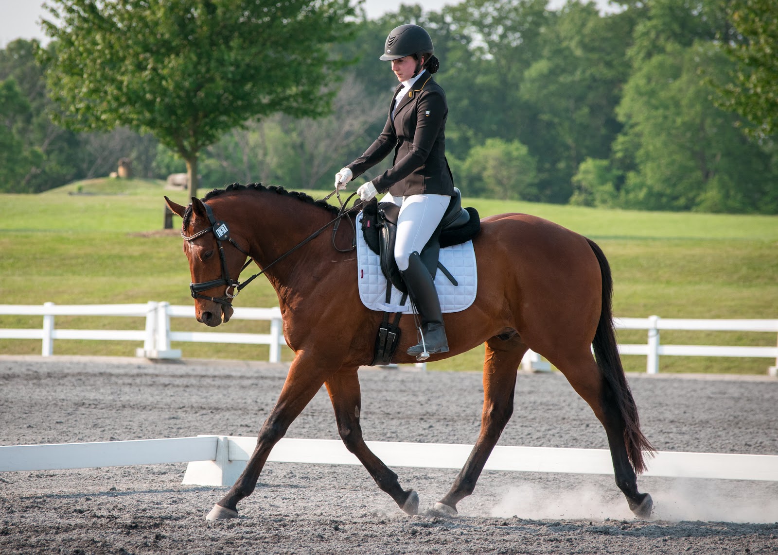 Loch Moy 1 | Training 3