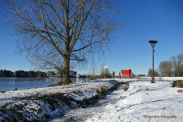 hannlie-fotografie: Winter, februari 2021. Wandeling door Holtenboek ...
