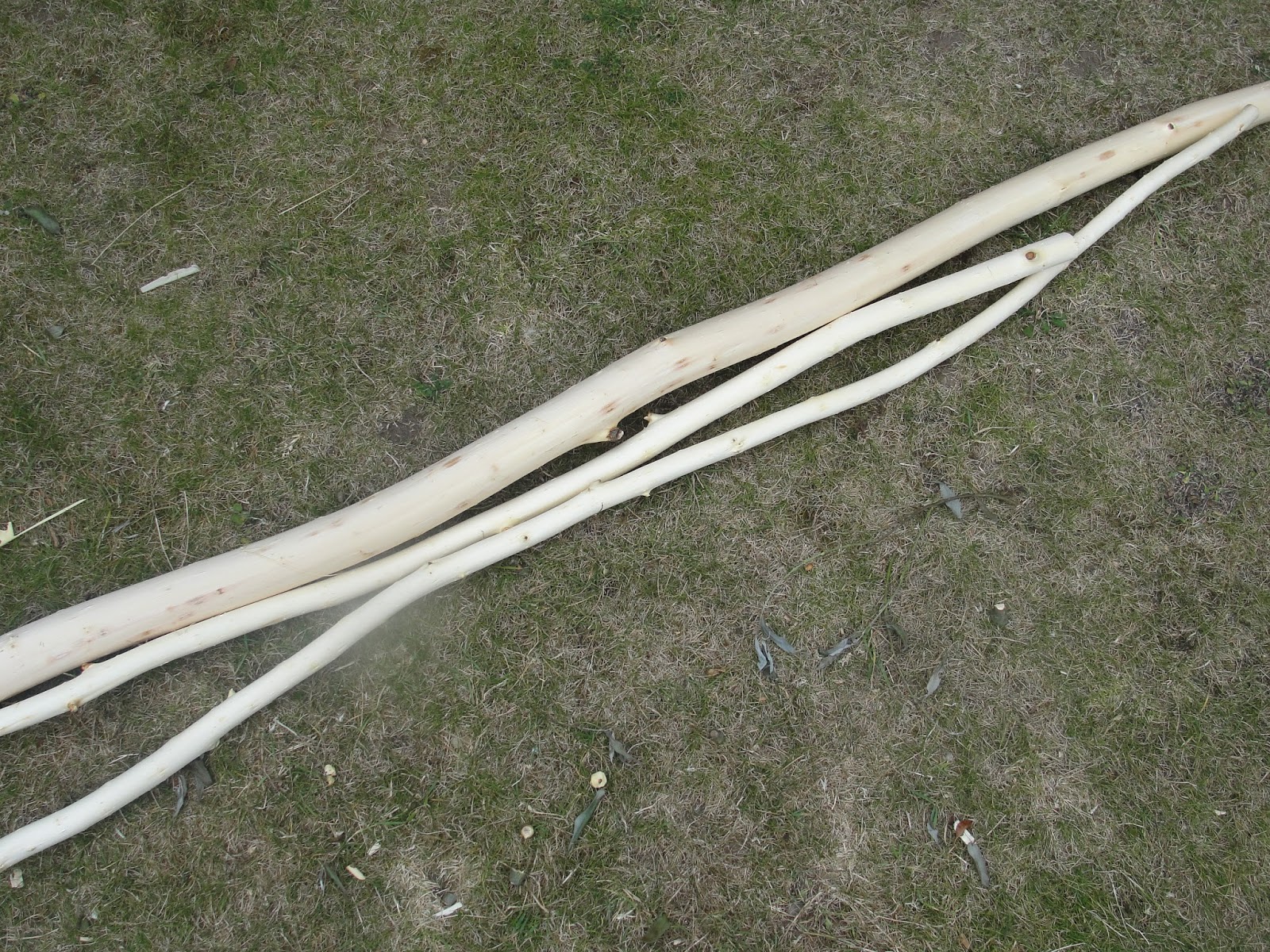 The Outdoor Traditionalist : Willow bark cordage