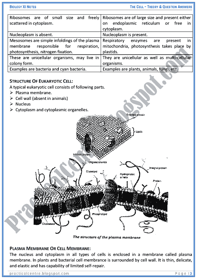 Practical Centre The Cell Theory And Questions Answers Biology XI practical-centre-the-cell-theory-and-questions-answers-biology-xi