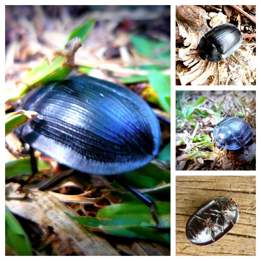 Poke it With a Stick