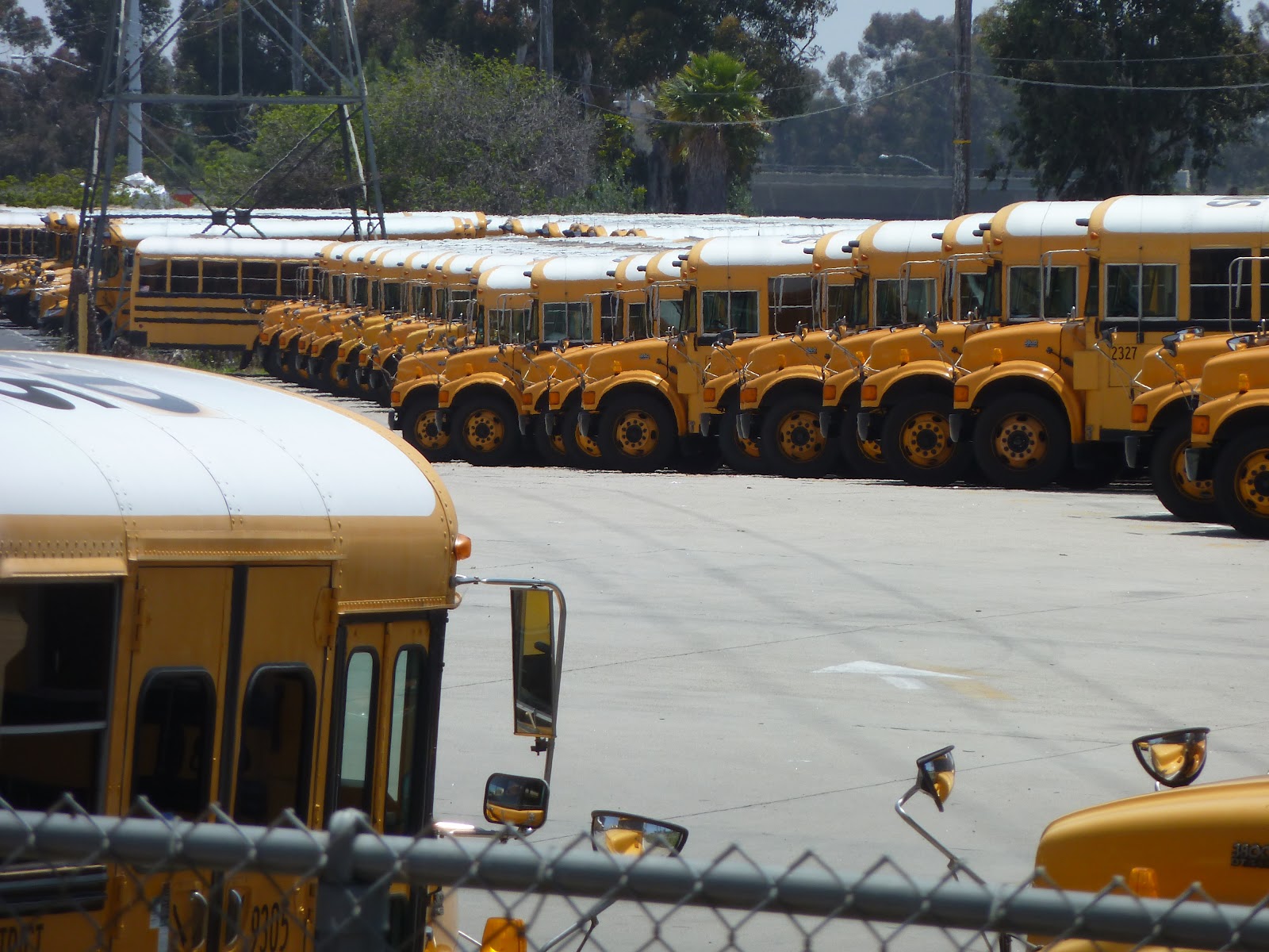 Observations: School Bus Lot