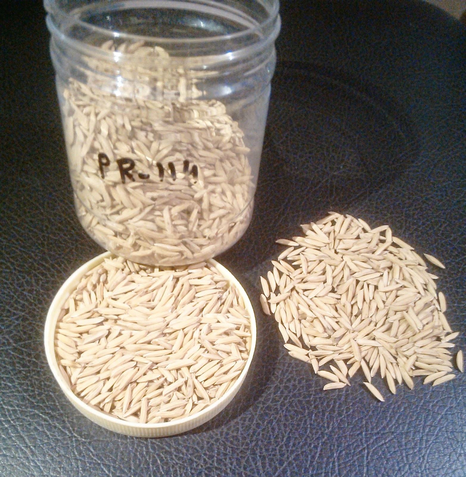 VIGNETTE HI-TECH SEED KARNAL: PADDY SEED VARIETY PR-114