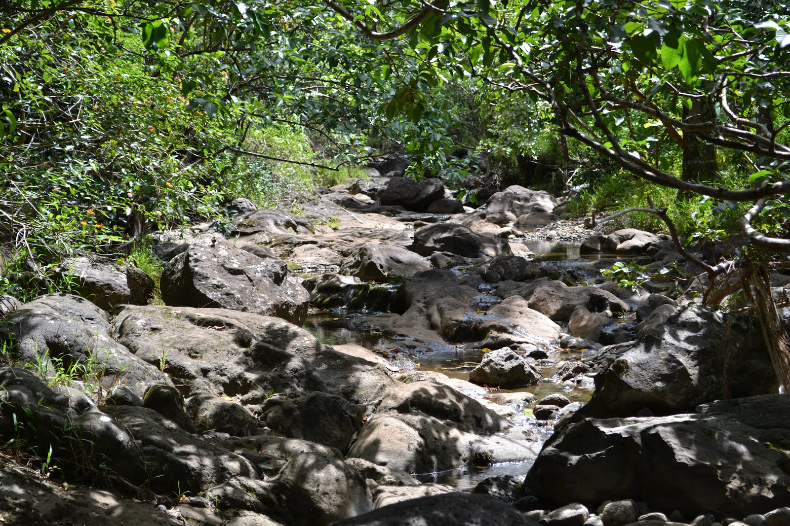 rtakashi: Waimano Falls & Pools via Manana Trail