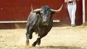 Los toros...la fiesta nacional