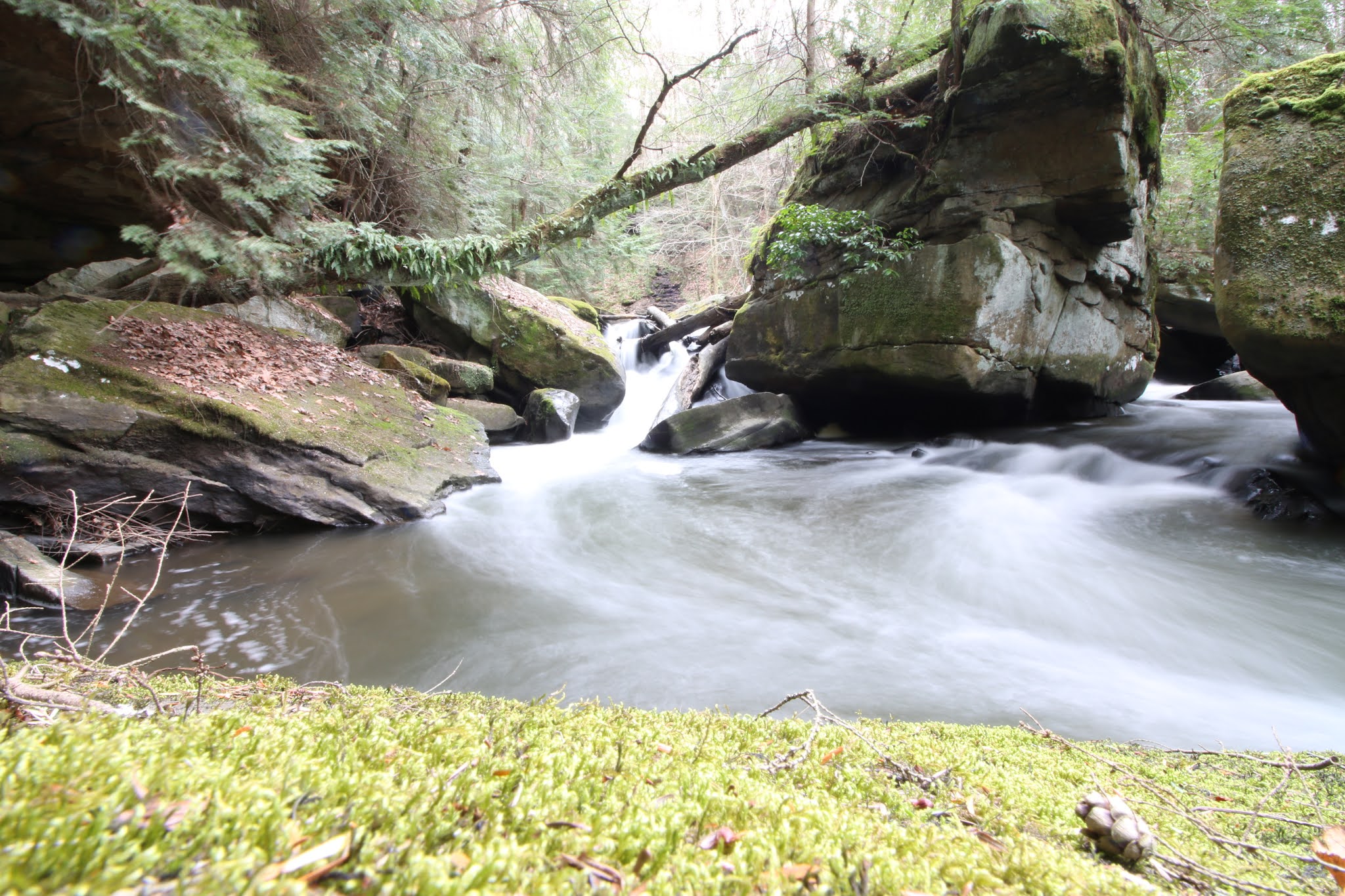 Frew Mills Falls Area of Slippery Rock Creek and Grant City Falls ...