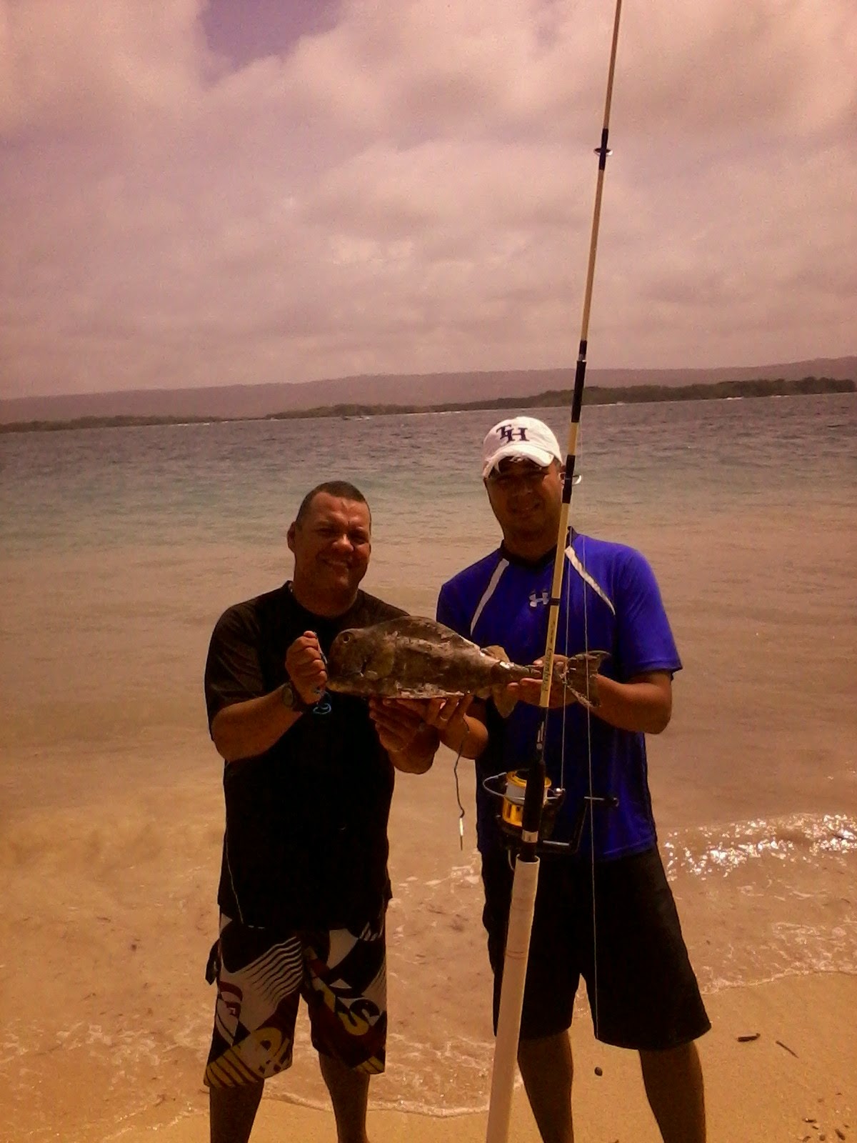 Pesca de Pez Torito , Pez Toro o caja de muerto,Pez cofre (Venezuela)