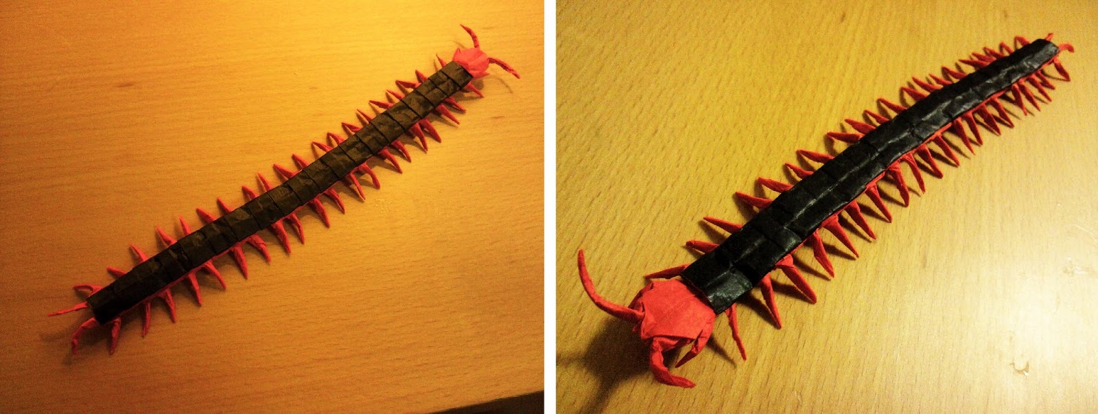 CP Red Headed Centipede-Kota Imai - Ruby Book Origami