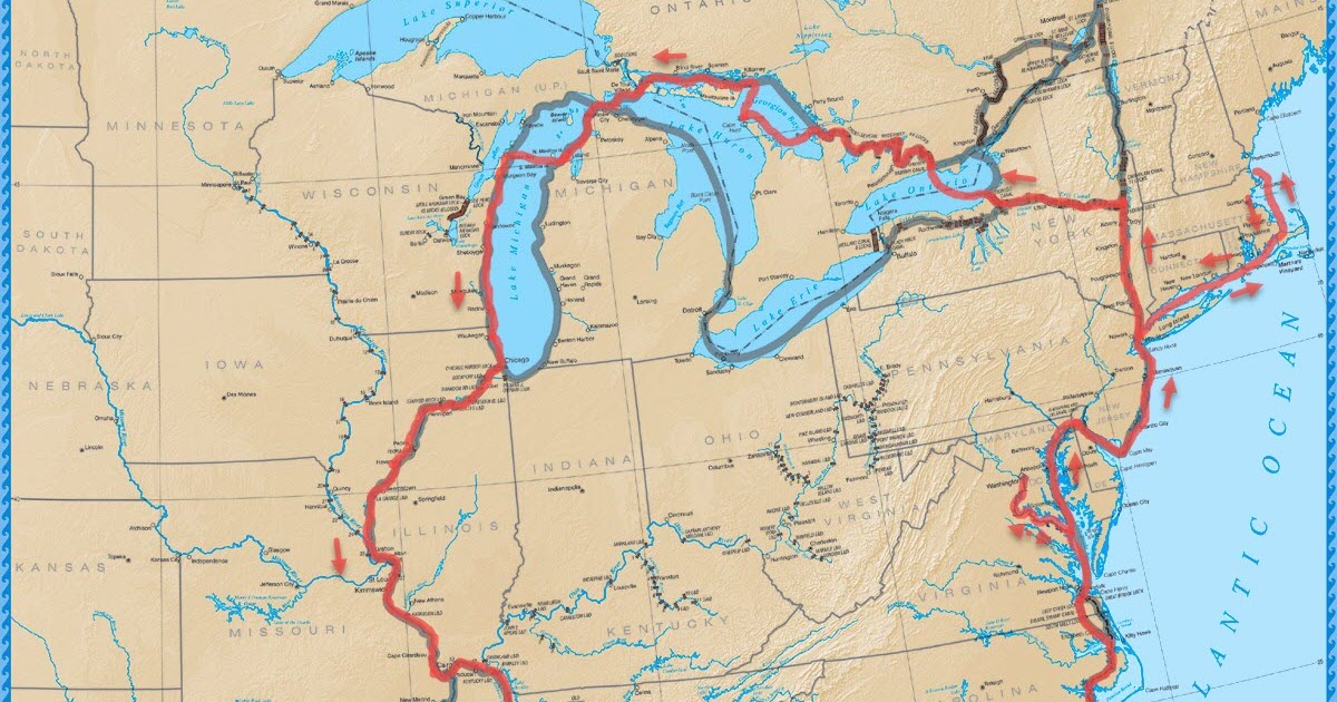 Sand Dollar: What is the Great Loop?