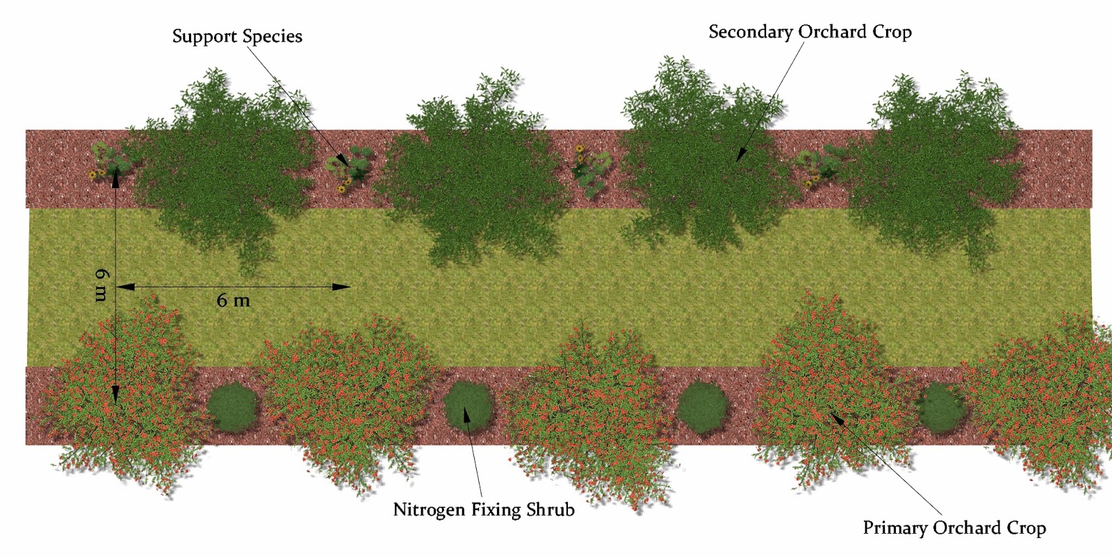 Balkan Ecology Project : May 2017