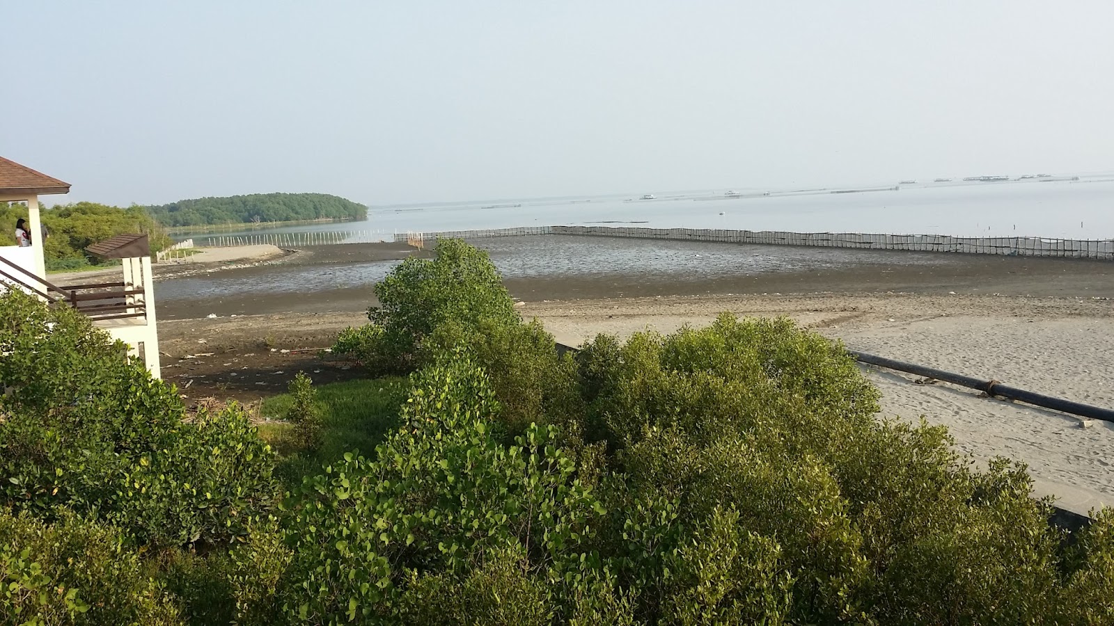 wandering... can't go home: Balanga Nature and Wetland Park - Balanga ...