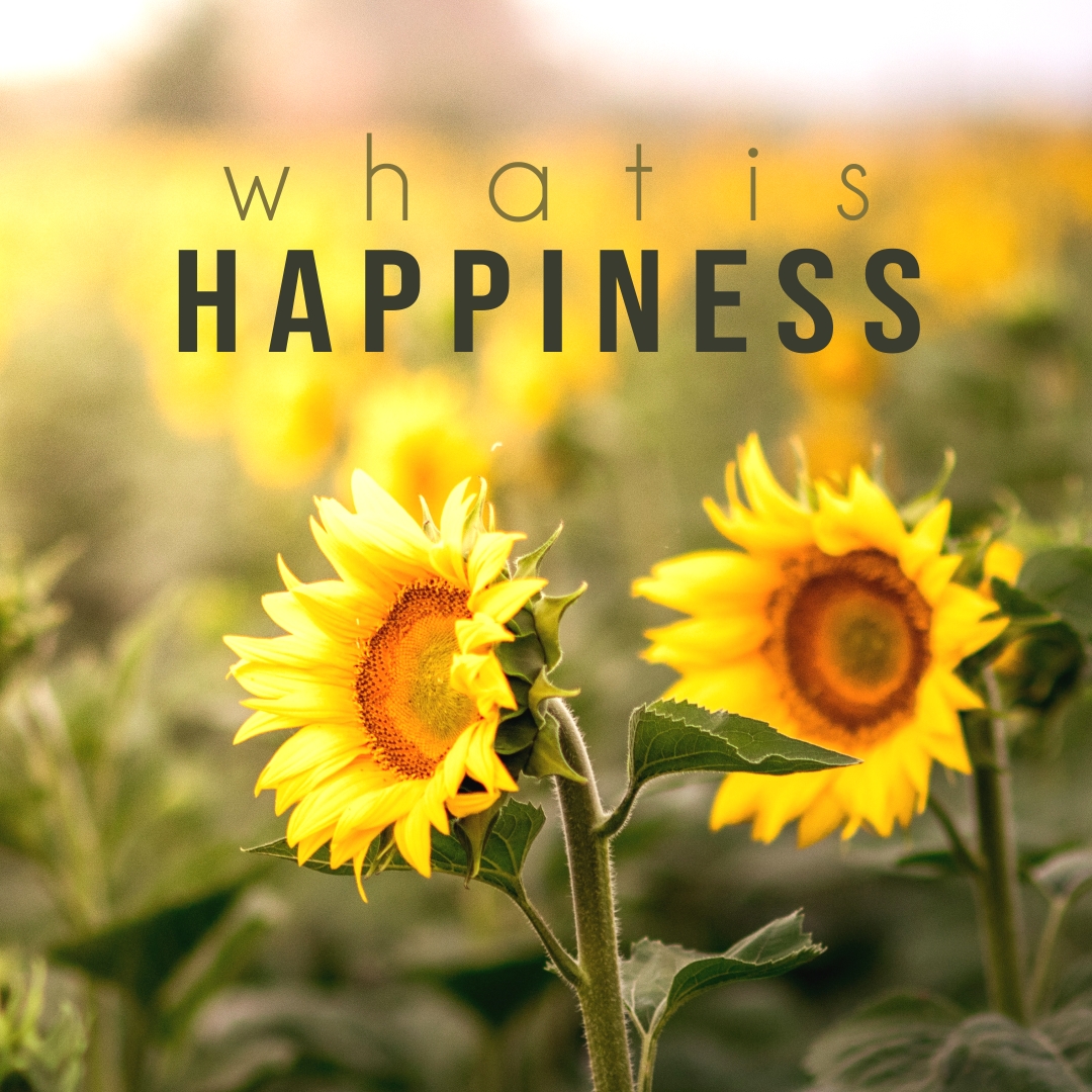 What Is Happiness Lailiving what-is-happiness-lailiving
