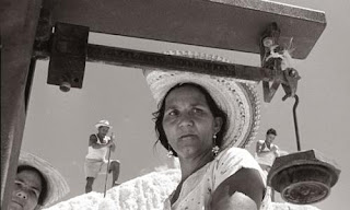 DAILY FILM DOSE: A Daily Film Appreciation and Review Blog: Araya