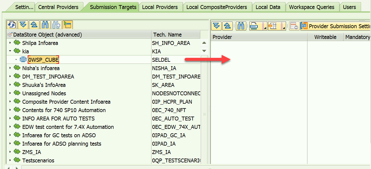 Submission Targets in BW Workspace | SAP Online Guides