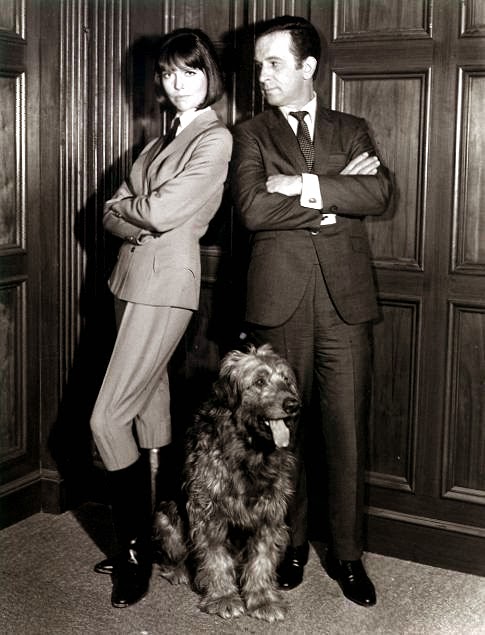 RETRO KIMMER'S BLOG: SPY SHOWS ROCKED THE 60'S!