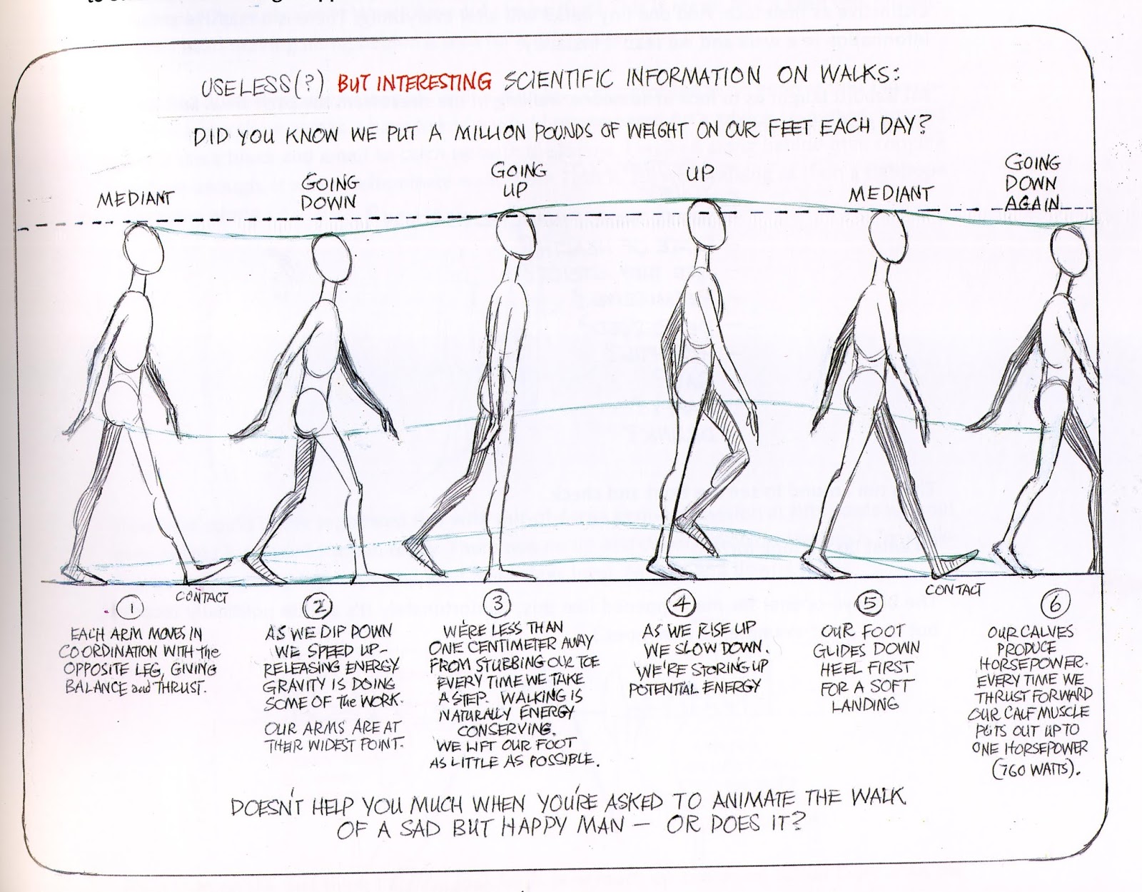 DLSY9mediastudies: Walk Cycle