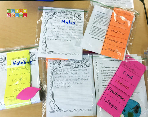 Teaching First Graders to Write an Insect Report!